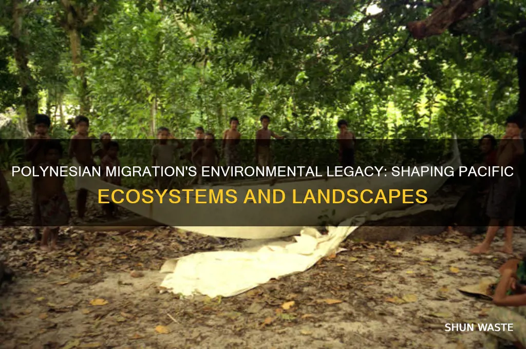Polynesian Migration's Environmental Legacy: Shaping Pacific Ecosystems ...