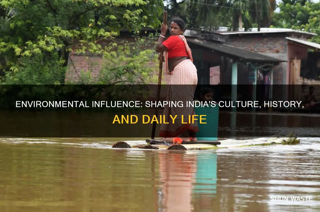 Environmental Influence: Shaping India's Culture, History, And Daily ...