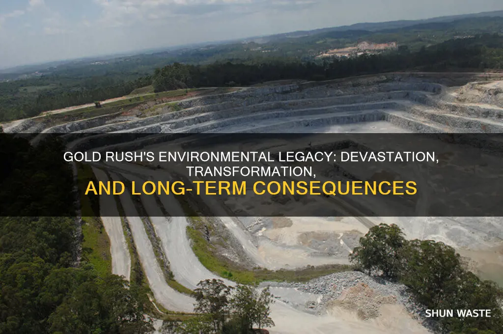 Gold Rush's Environmental Legacy: Devastation, Transformation, And Long ...