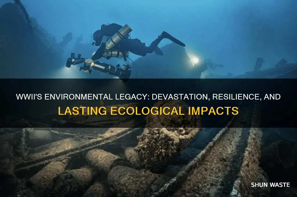 Wwii's Environmental Legacy: Devastation, Resilience, And Lasting ...