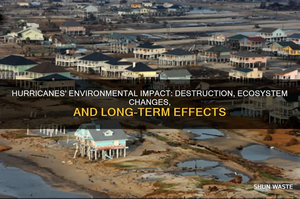 Hurricanes' Environmental Impact: Destruction, Ecosystem Changes, And ...
