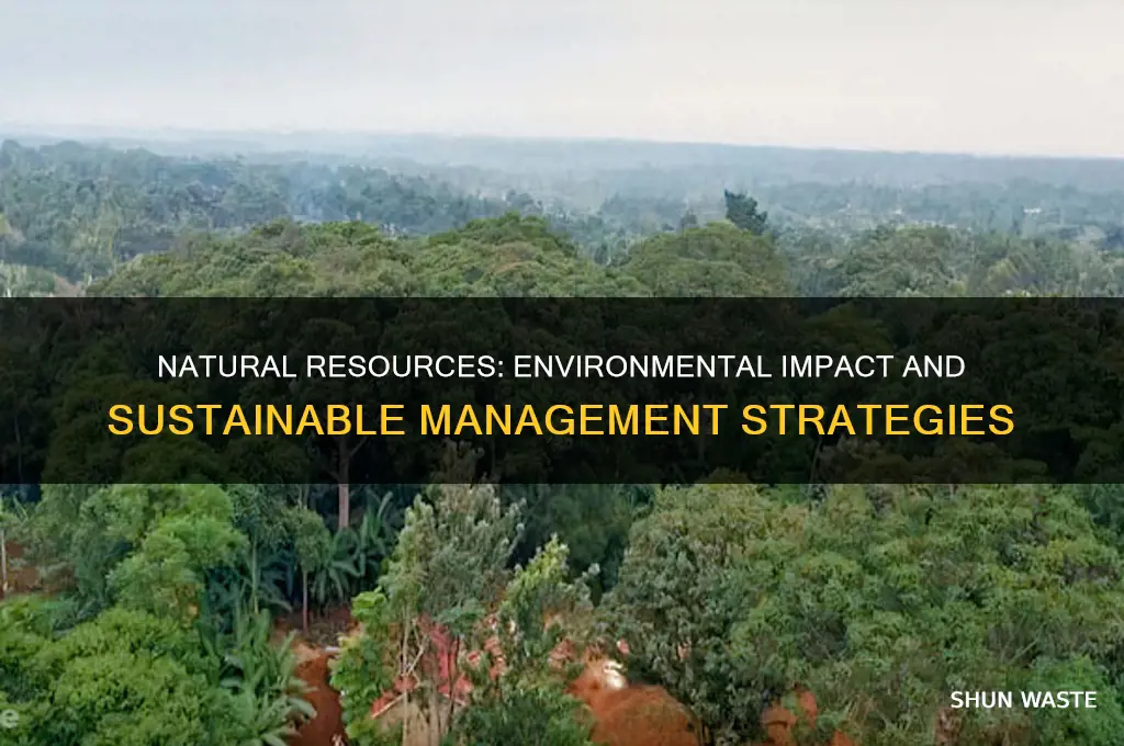Natural Resources: Environmental Impact And Sustainable Management ...