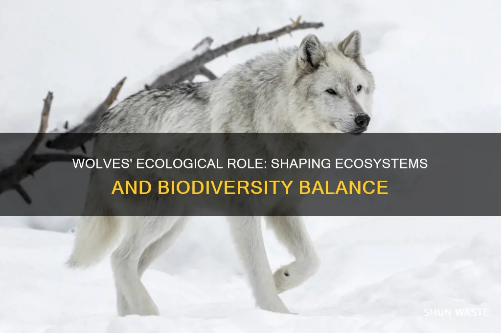 Wolves' Ecological Role: Shaping Ecosystems And Biodiversity Balance ...