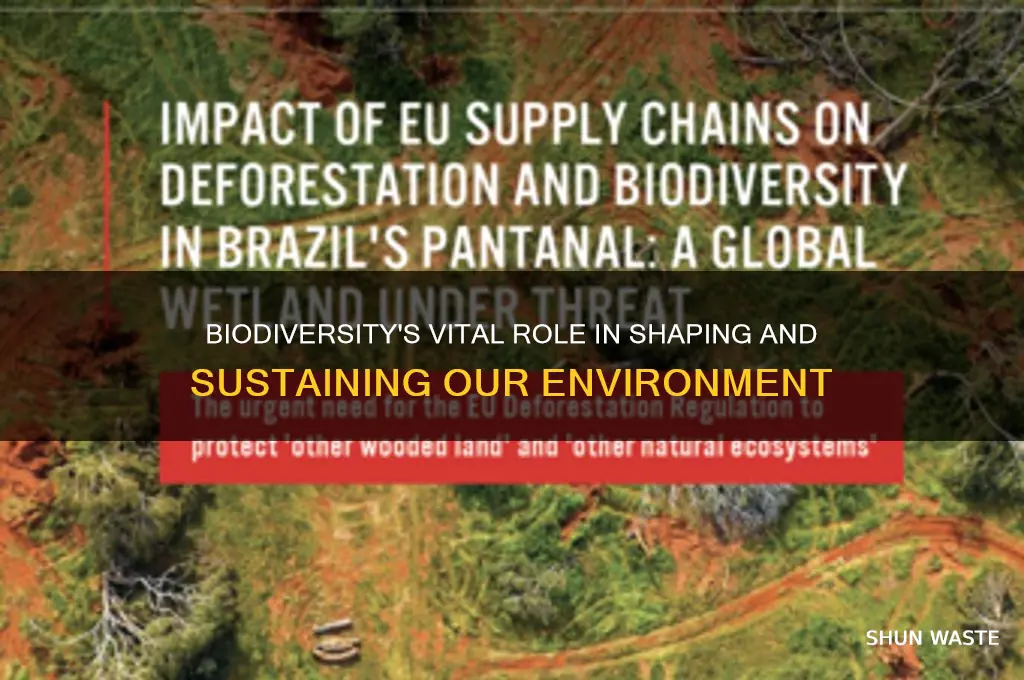Biodiversity's Vital Role In Shaping And Sustaining Our Environment ...