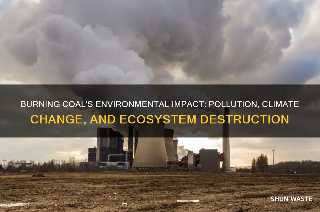 Burning Coal's Environmental Impact: Pollution, Climate Change, And ...