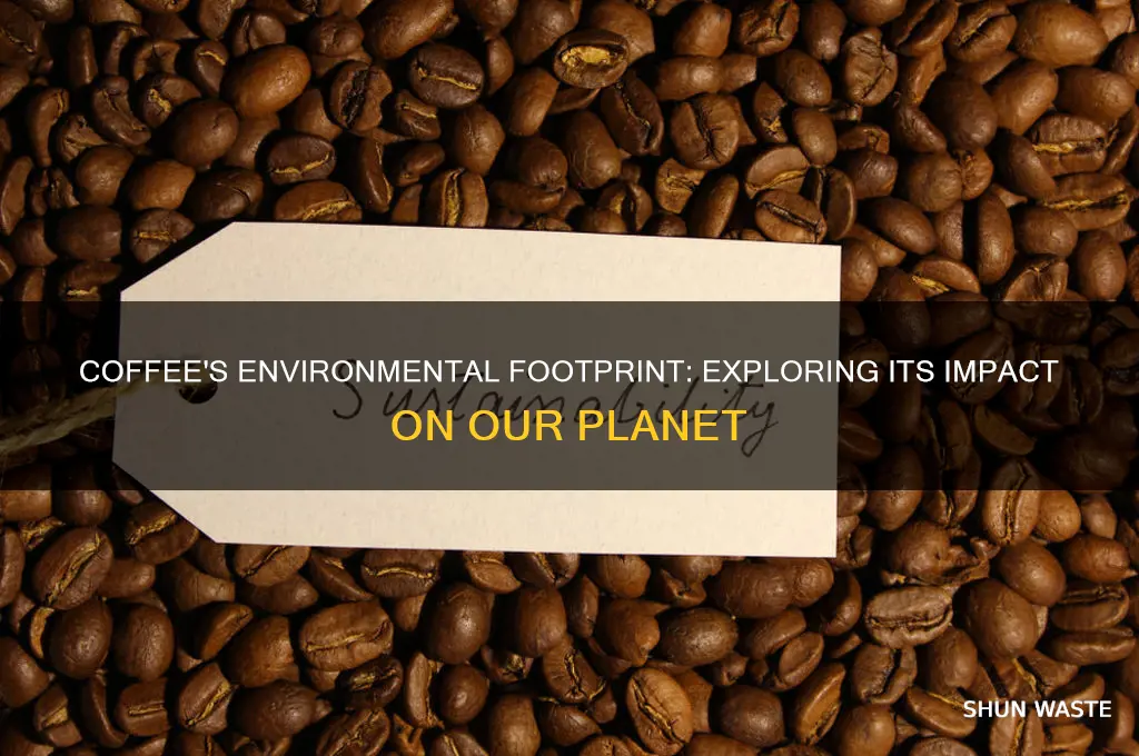 Coffee's Environmental Footprint: Exploring Its Impact On Our Planet ...