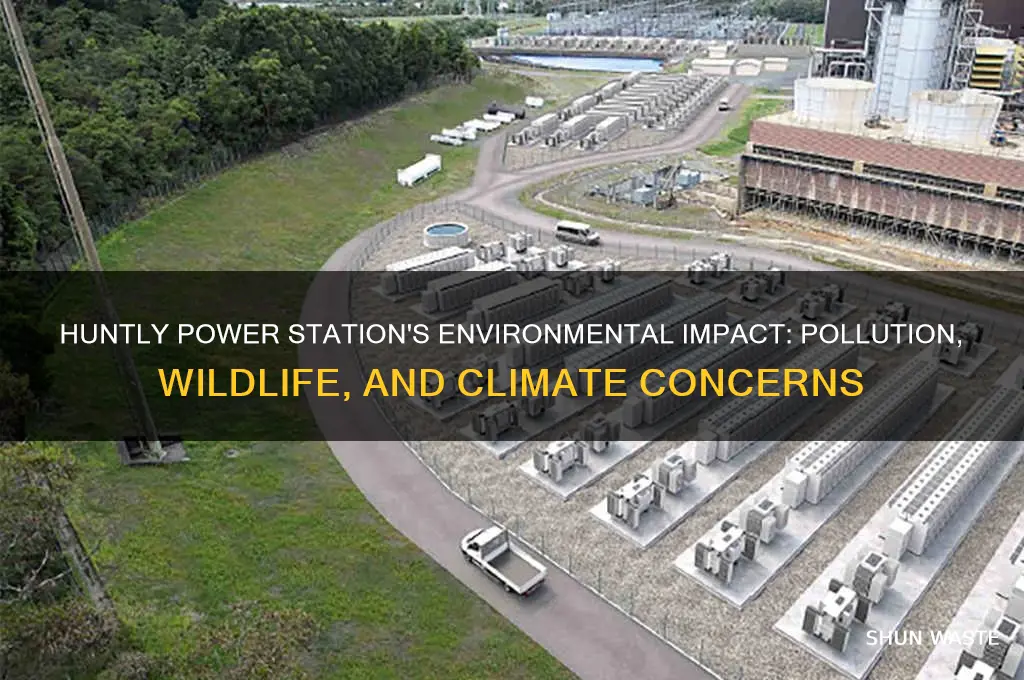 Huntly Power Station's Environmental Impact: Pollution, Wildlife, And ...