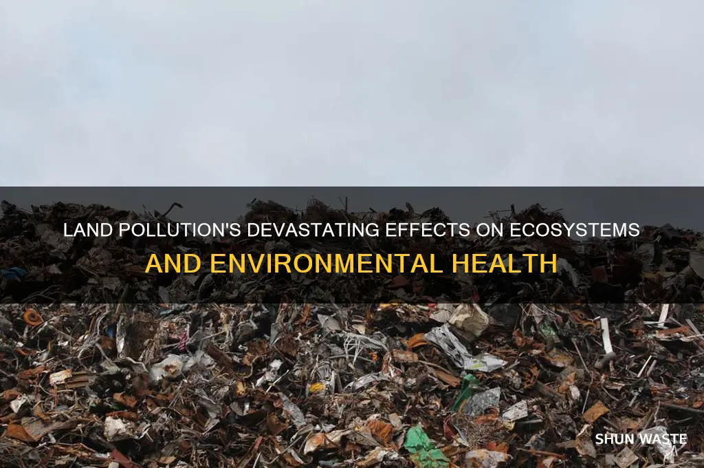 Land Pollution's Devastating Effects On Ecosystems And Environmental ...