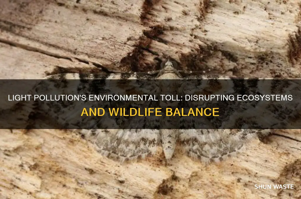 Light Pollution's Environmental Toll: Disrupting Ecosystems And ...