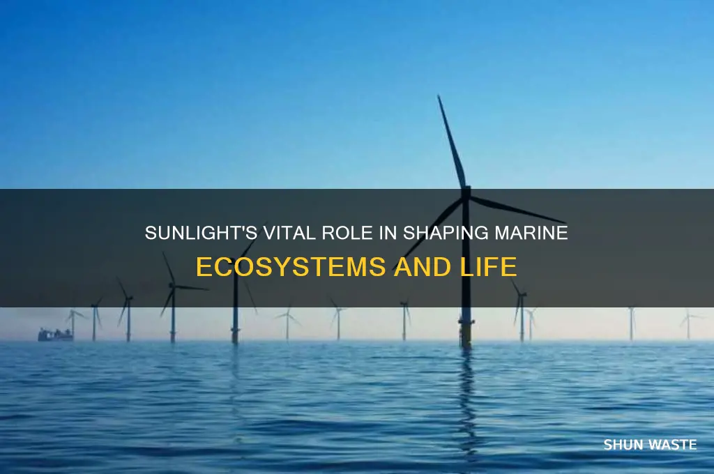 Sunlight's Vital Role In Shaping Marine Ecosystems And Life | ShunWaste