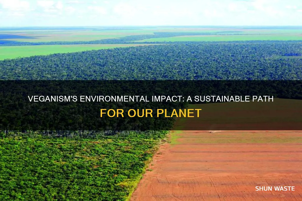 Veganism's Environmental Impact: A Sustainable Path For Our Planet ...