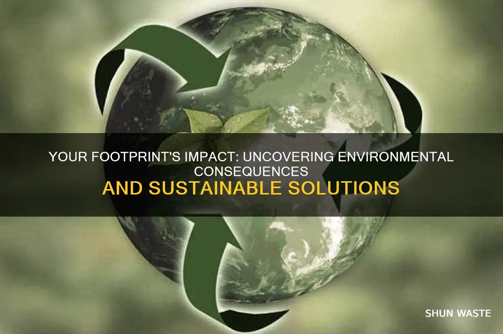 Your Footprint's Impact: Uncovering Environmental Consequences And ...