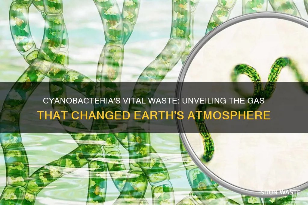 Cyanobacteria's Vital Waste: Unveiling The Gas That Changed Earth's ...