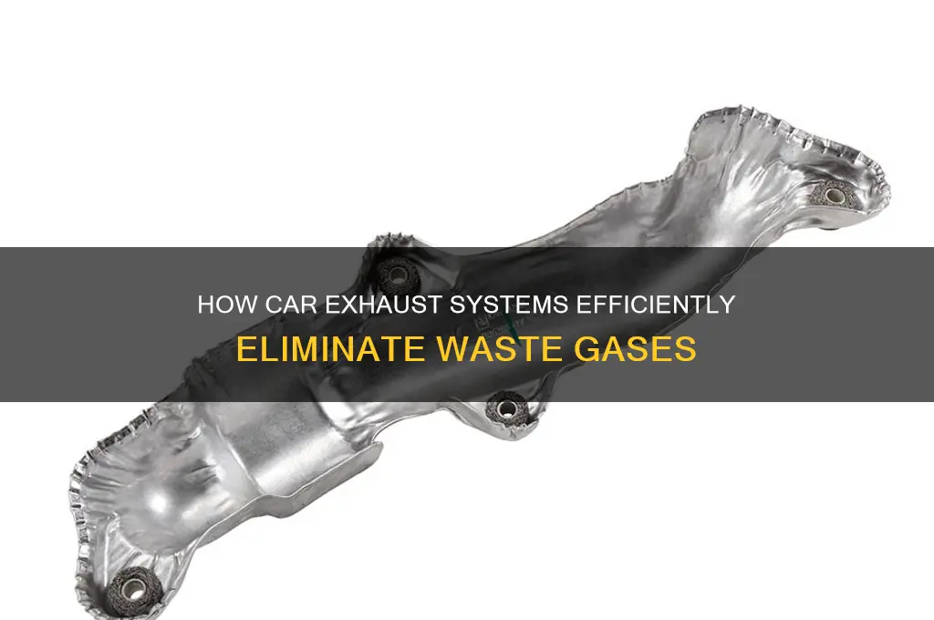 How Car Exhaust Systems Efficiently Eliminate Waste Gases | ShunWaste