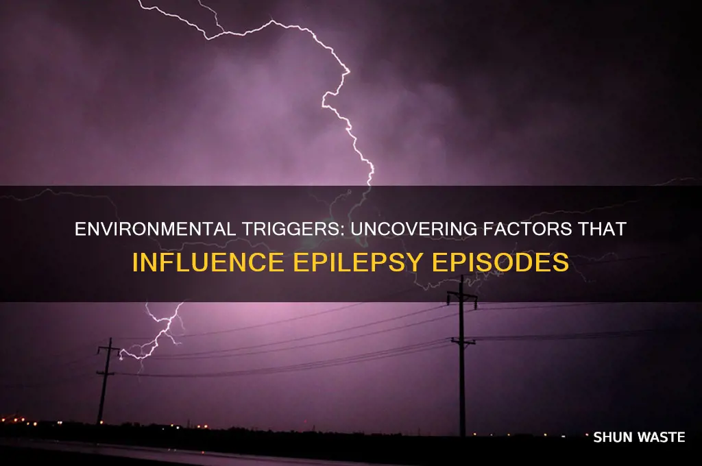Environmental Triggers: Uncovering Factors That Influence Epilepsy ...