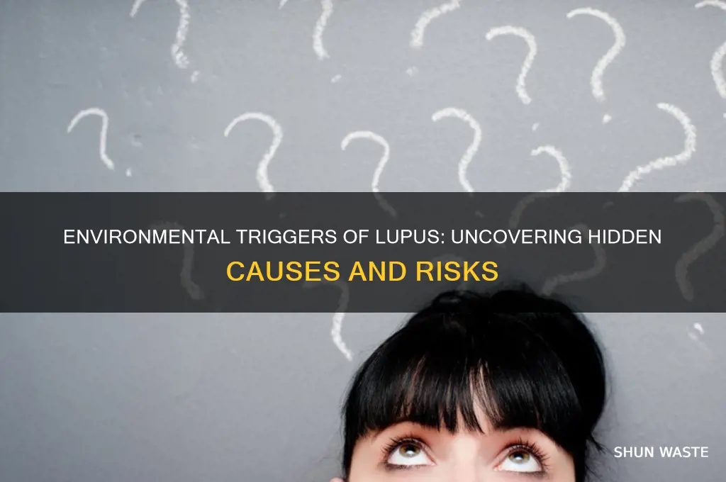 Environmental Triggers Of Lupus: Uncovering Hidden Causes And Risks ...