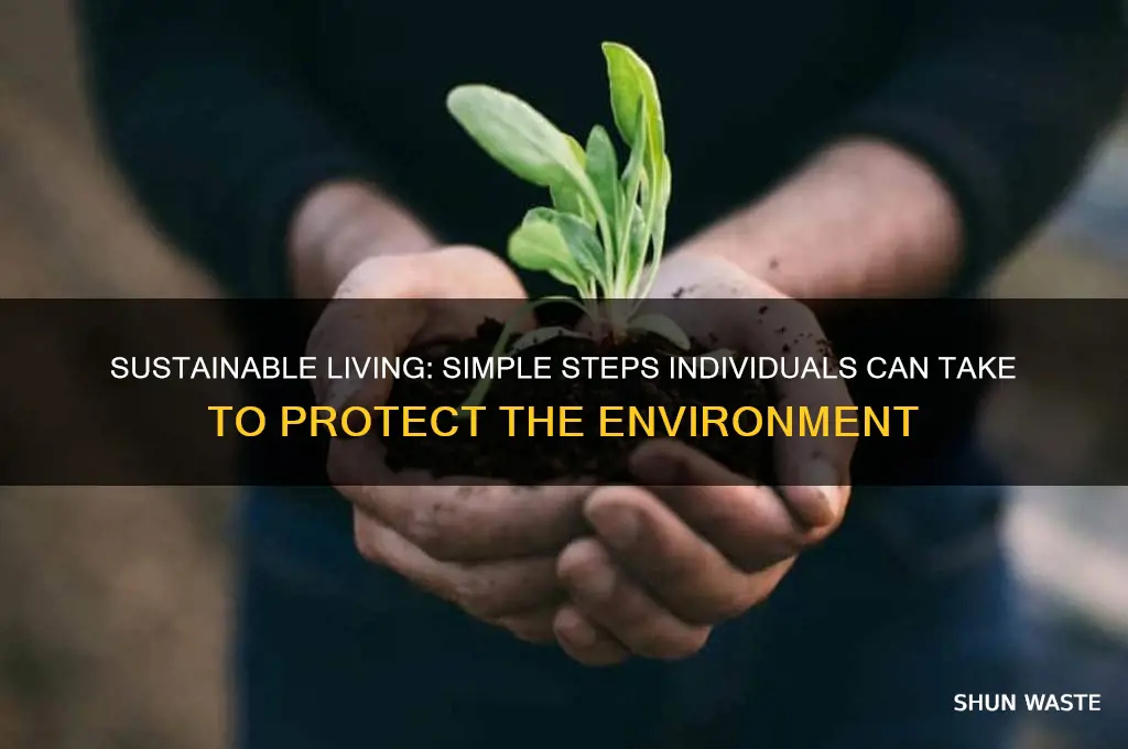 Sustainable Living: Simple Steps Individuals Can Take To Protect The ...