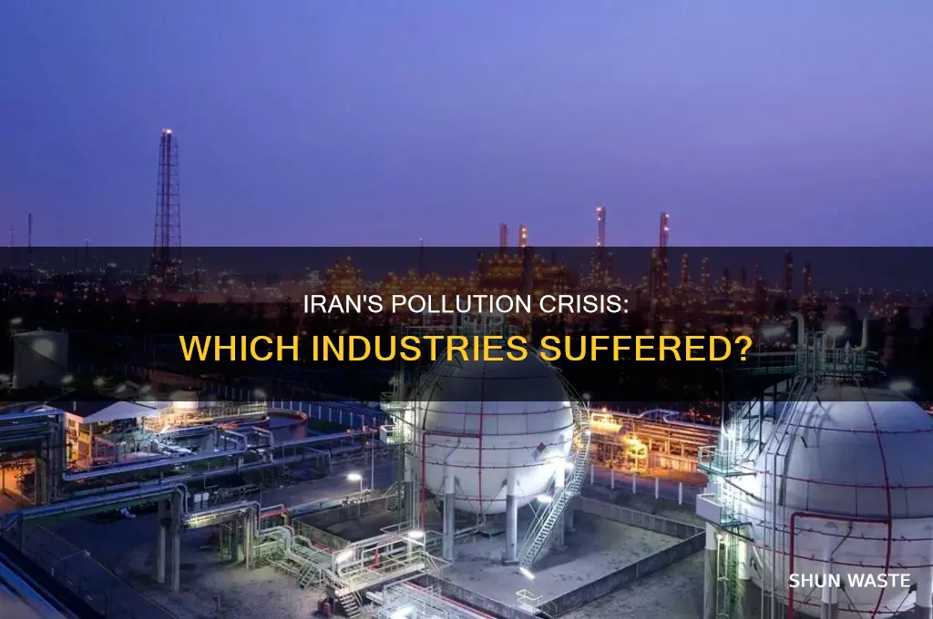 Iran's Pollution Crisis: Which Industries Suffered? | ShunWaste
