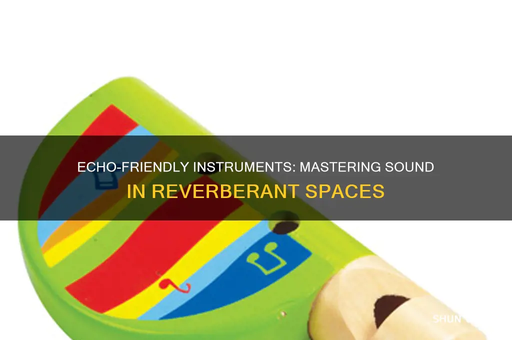 Echo-Friendly Instruments: Mastering Sound In Reverberant Spaces ...