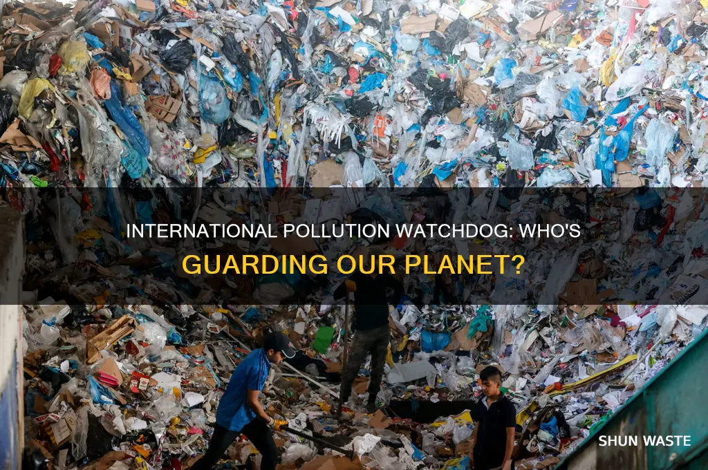 International Pollution Watchdog: Who's Guarding Our Planet? | ShunWaste