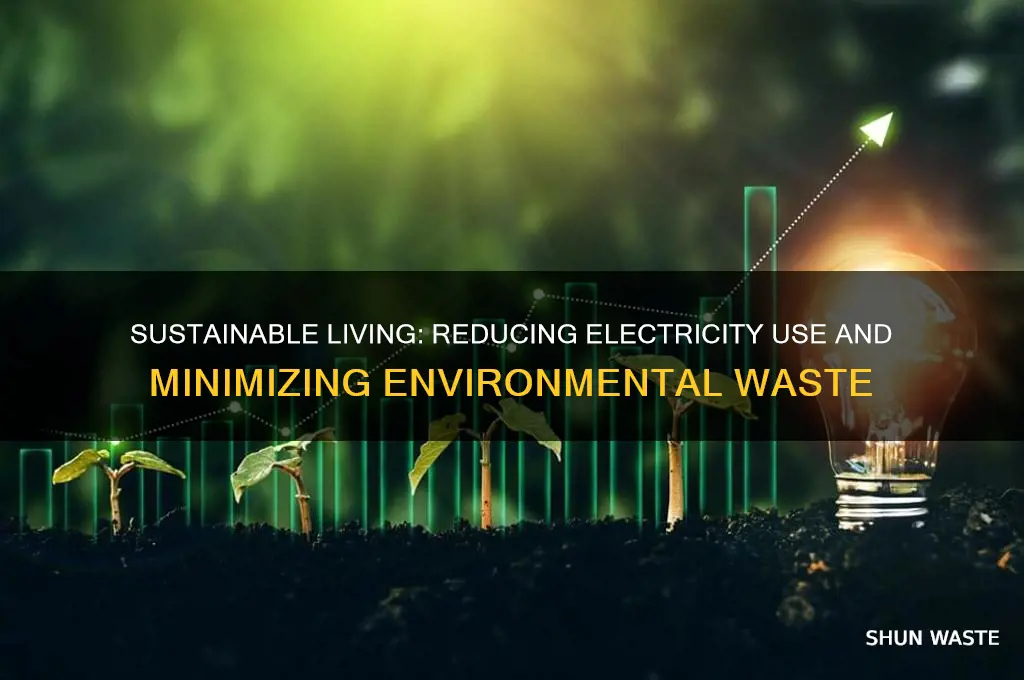 Sustainable Living: Reducing Electricity Use And Minimizing ...