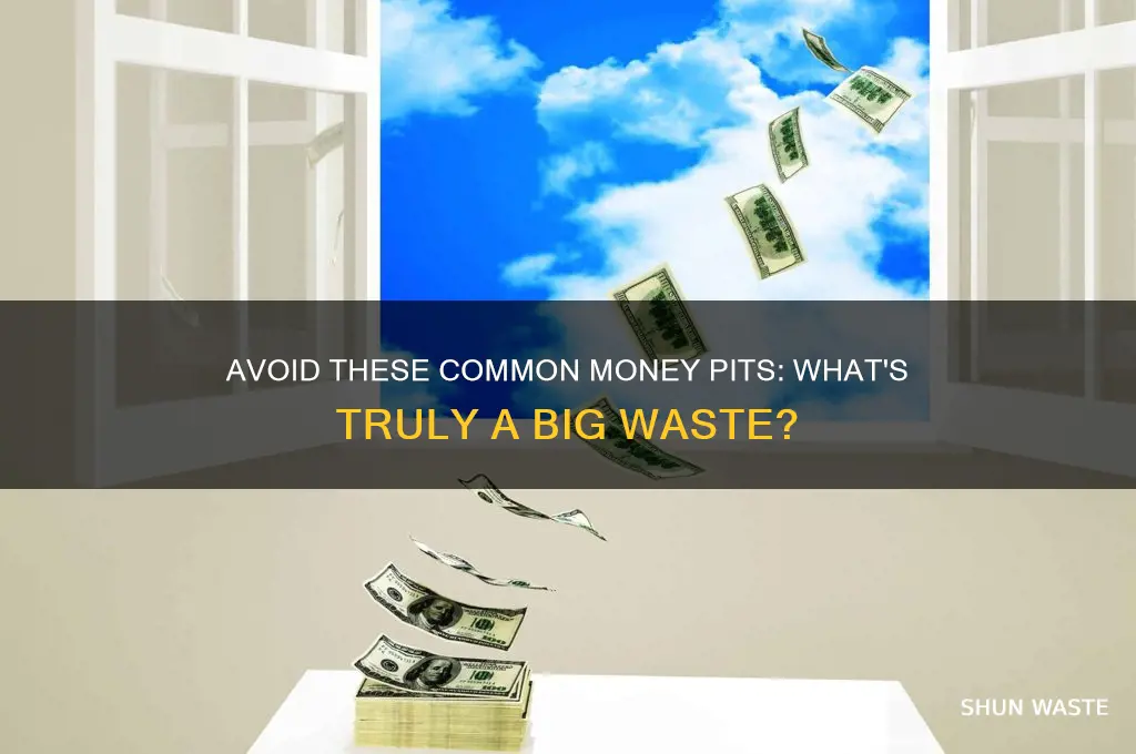 Avoid These Common Money Pits: What's Truly A Big Waste? | ShunWaste