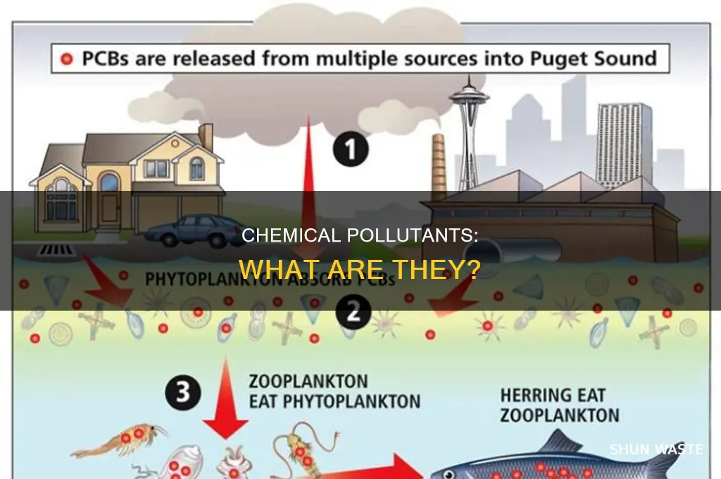 Chemical Pollutants: What Are They? | ShunWaste