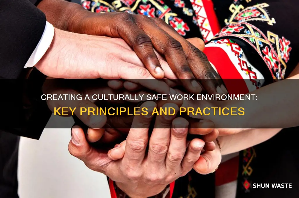 Creating A Culturally Safe Work Environment: Key Principles And ...