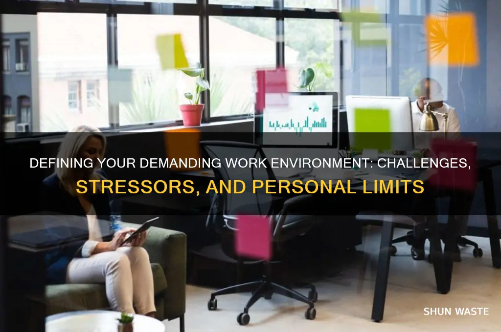 Defining Your Demanding Work Environment: Challenges, Stressors, And ...