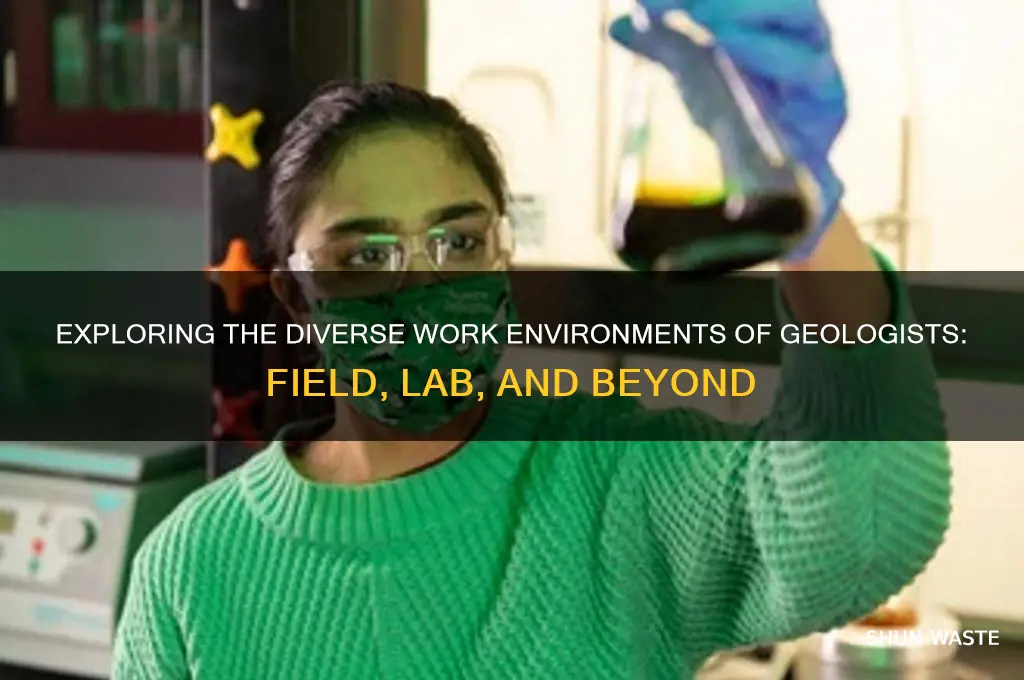 Exploring The Diverse Work Environments Of Geologists: Field, Lab, And ...