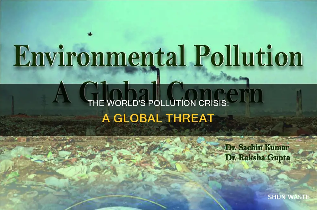 The World's Pollution Crisis: A Global Threat | ShunWaste