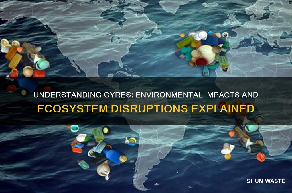 Understanding Gyres: Environmental Impacts And Ecosystem Disruptions ...