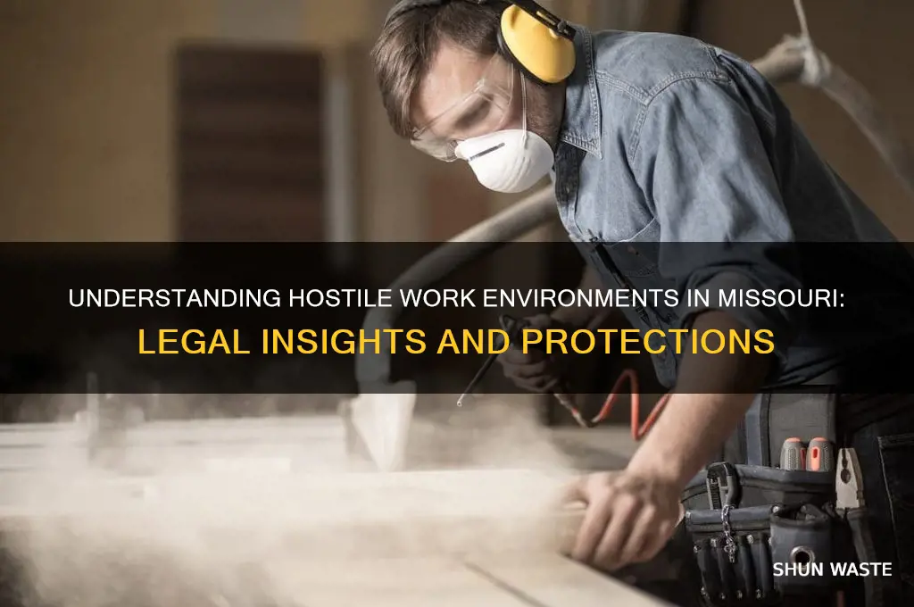 Understanding Hostile Work Environments In Missouri: Legal Insights And ...