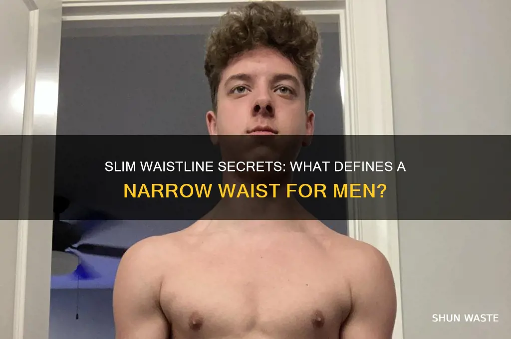Slim Waistline Secrets: What Defines A Narrow Waist For Men? | ShunWaste