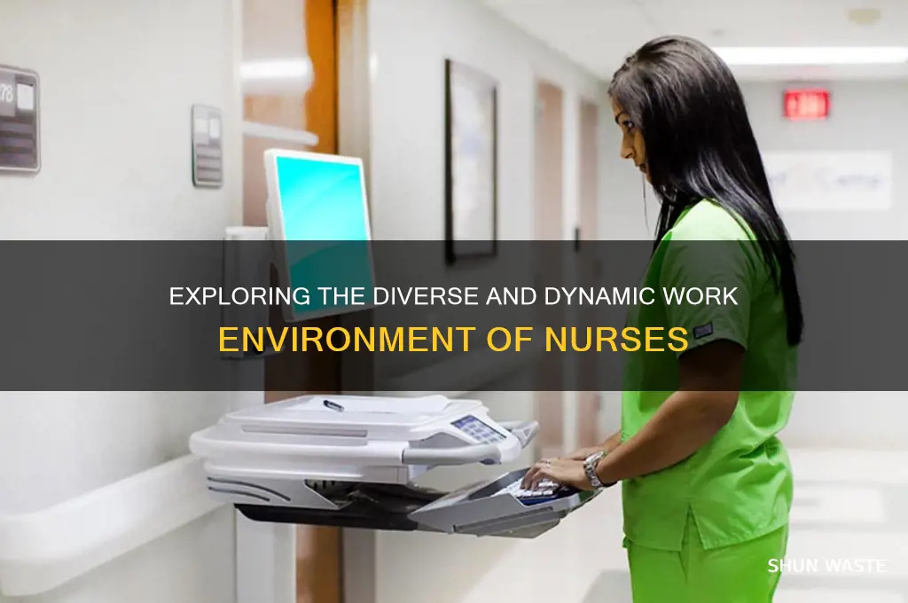 Exploring The Diverse And Dynamic Work Environment Of Nurses | ShunWaste