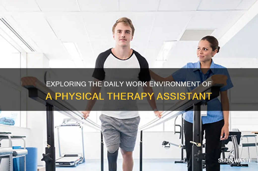 Exploring The Daily Work Environment Of A Physical Therapy Assistant ...