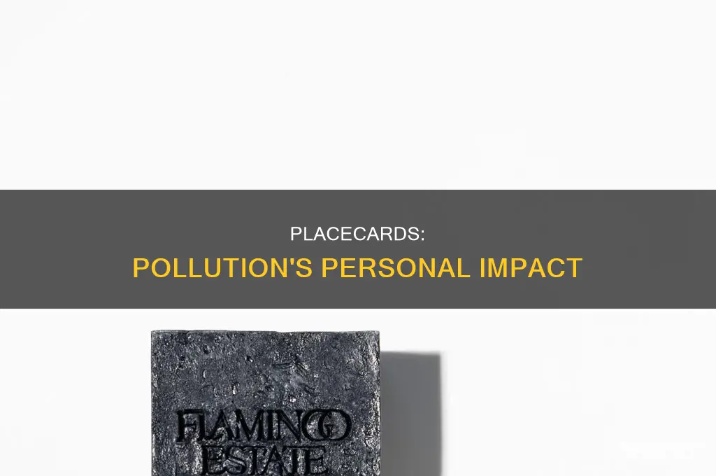Placecards: Pollution's Personal Impact | ShunWaste