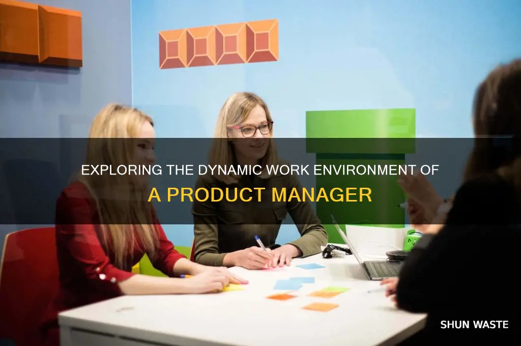 Exploring The Dynamic Work Environment Of A Product Manager | ShunWaste