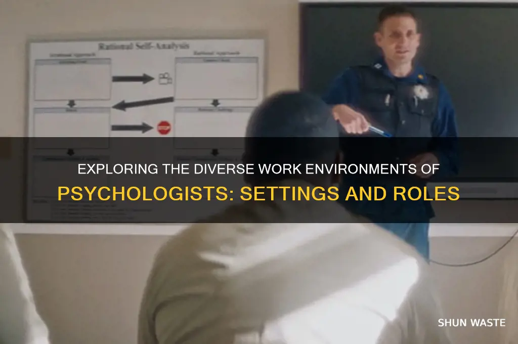 Exploring The Diverse Work Environments Of Psychologists: Settings And ...