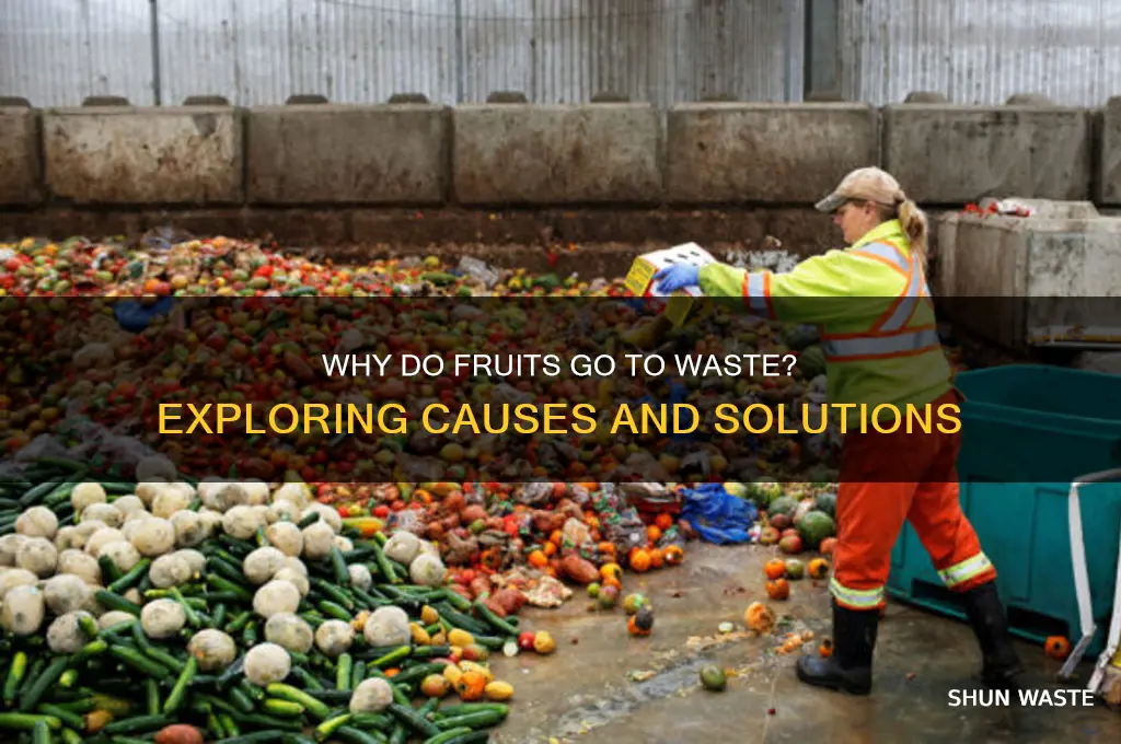 Why Do Fruits Go To Waste? Exploring Causes And Solutions | ShunWaste