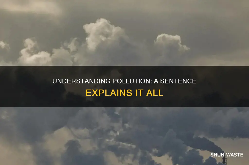 Understanding Pollution: A Sentence Explains It All | ShunWaste