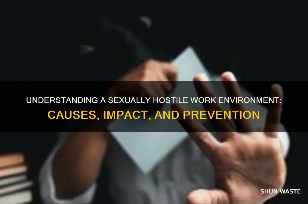 Understanding A Sexually Hostile Work Environment: Causes, Impact, And ...