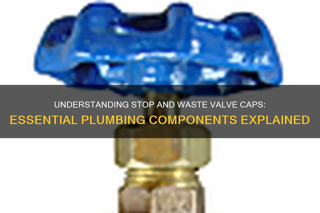 Understanding Stop And Waste Valve Caps: Essential Plumbing Components ...