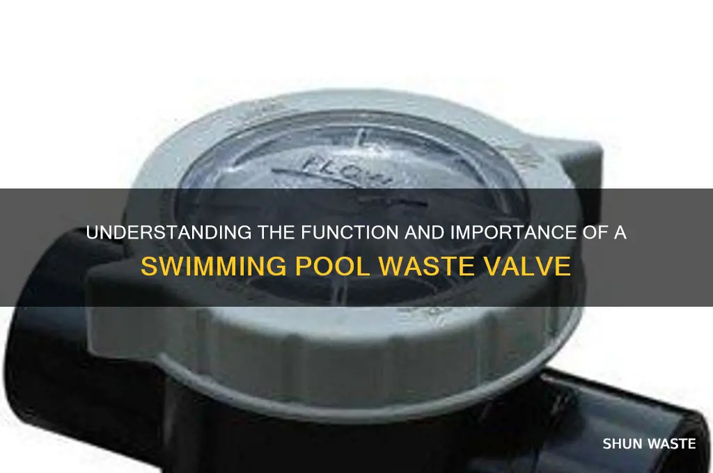 Understanding The Function And Importance Of A Swimming Pool Waste ...