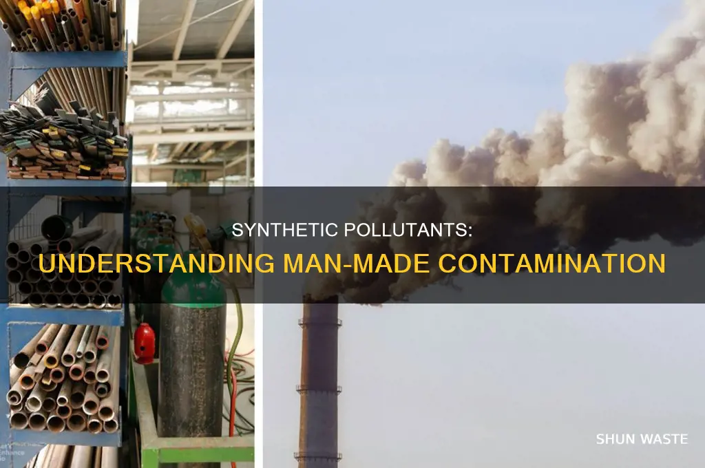 Synthetic Pollutants: Understanding Man-Made Contamination | ShunWaste