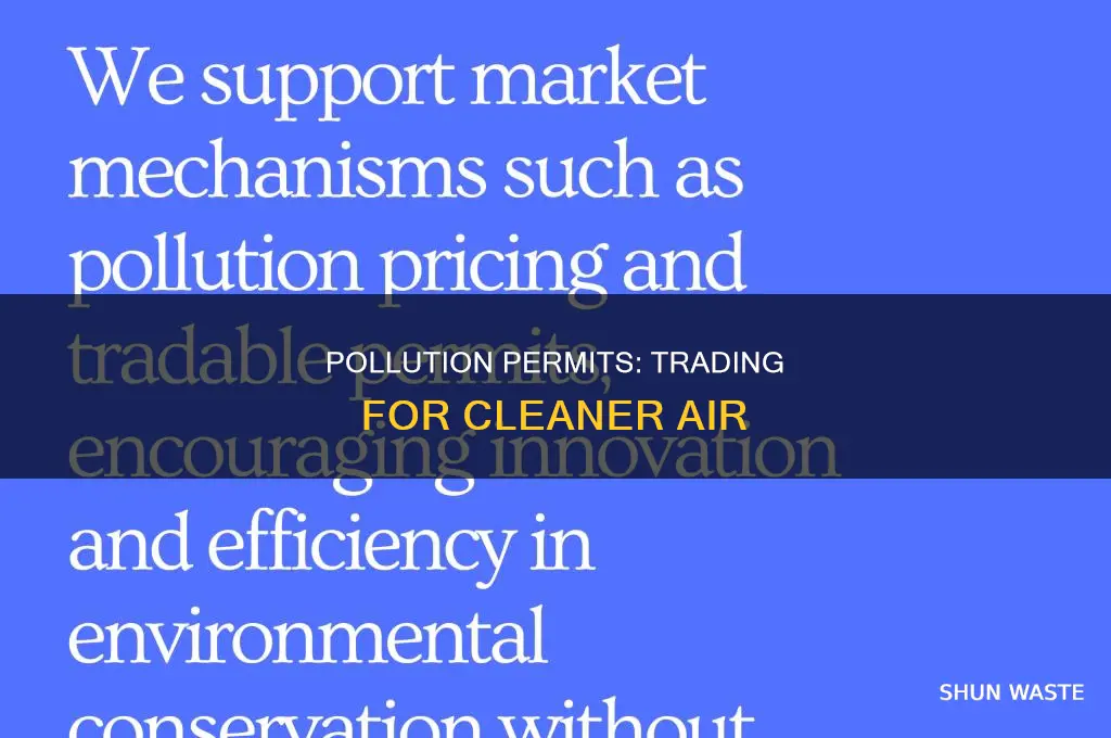 Pollution Permits: Trading For Cleaner Air | ShunWaste