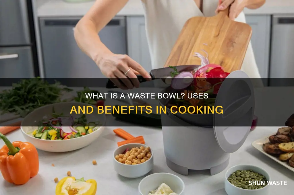 What Is A Waste Bowl? Uses And Benefits In Cooking | ShunWaste