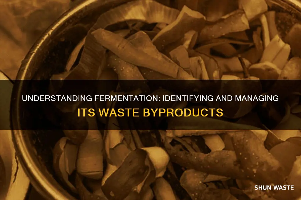 Understanding Fermentation: Identifying And Managing Its Waste ...