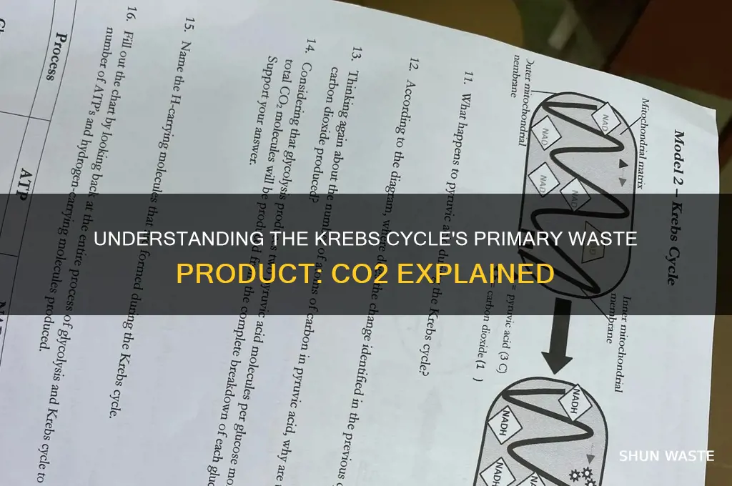 Understanding The Krebs Cycle's Primary Waste Product: Co2 Explained ...