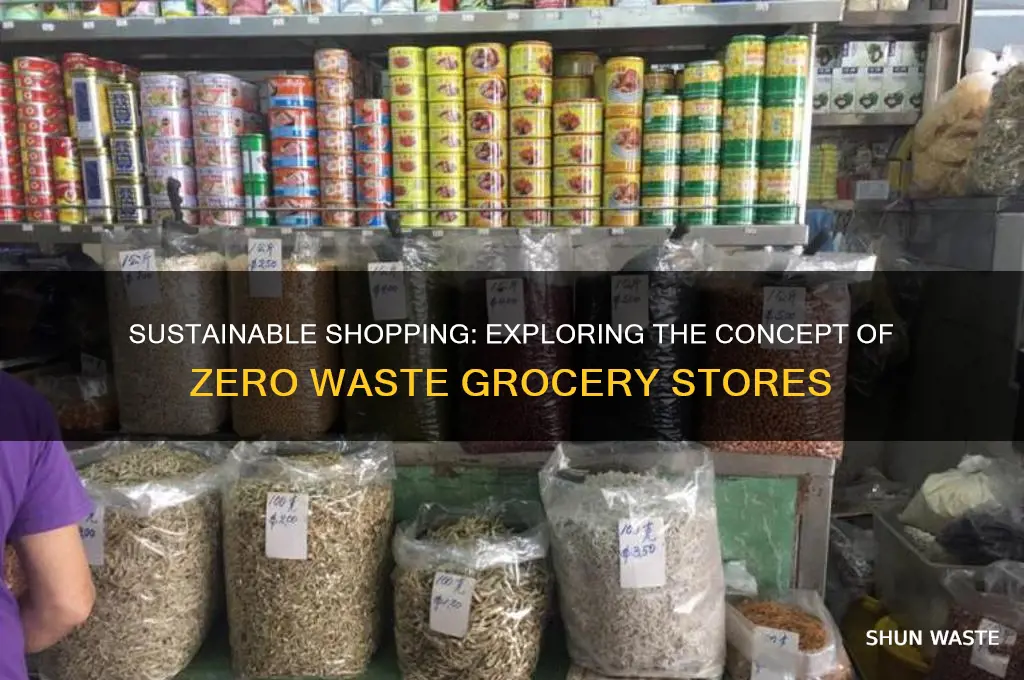 Sustainable Shopping: Exploring The Concept Of Zero Waste Grocery ...